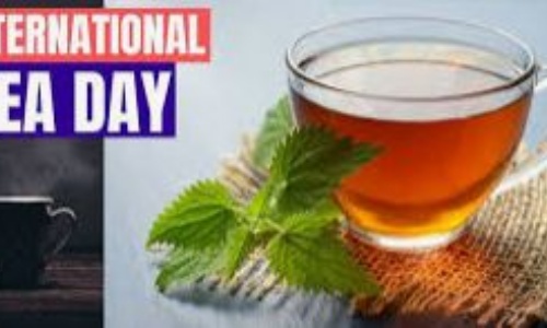 Westlands Primary School - Year 3 - International Tea Day