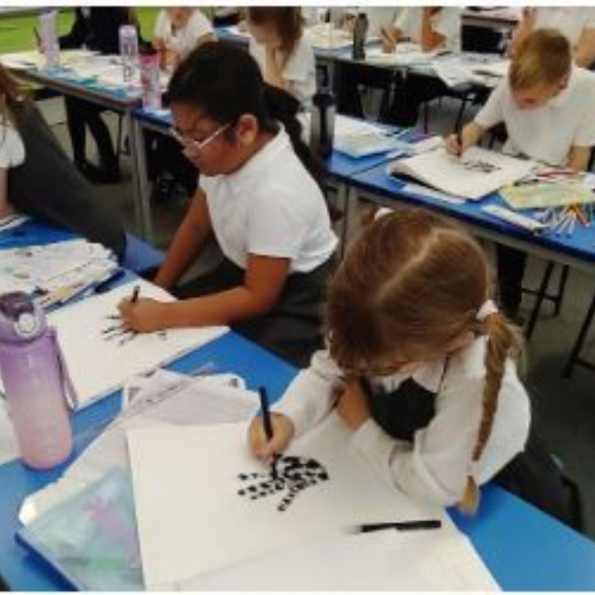 Westlands Primary School - Turtle Class Update