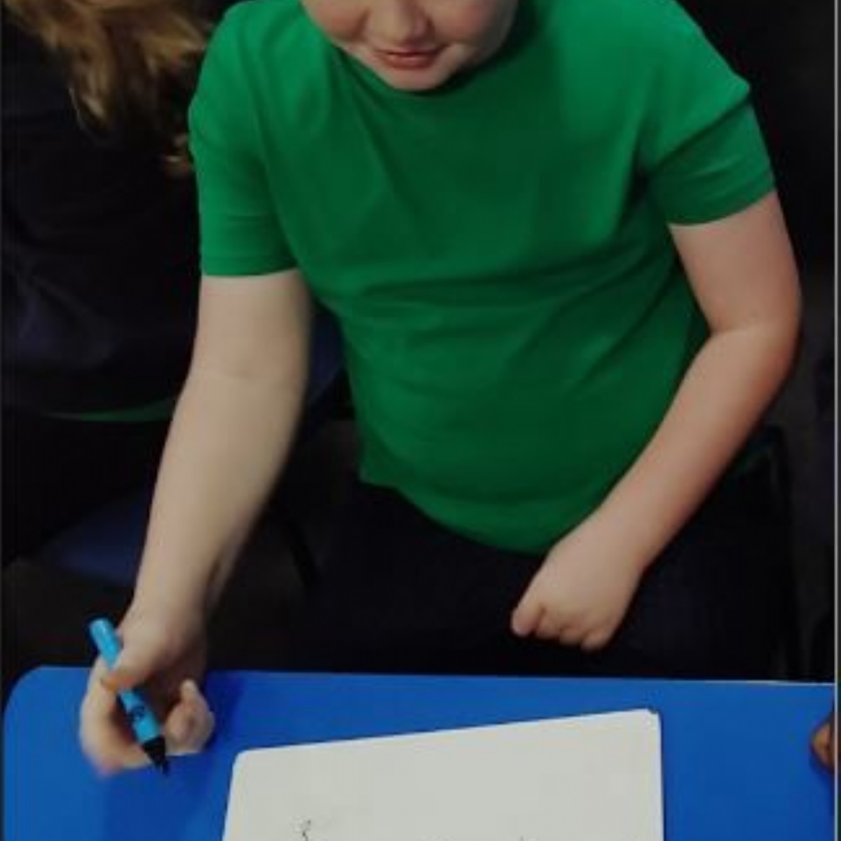 Westlands Primary School - Hawk Class Update