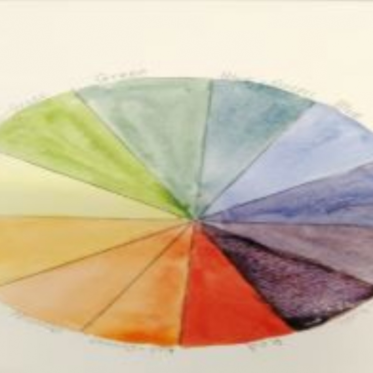 Westlands Primary School - Hawk Class Colour Wheels